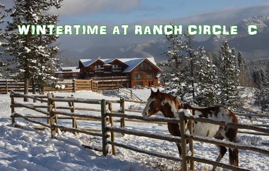 Welcome to CircleCPTR !!, Free 6 Month Upgrade !!!, Auctions, 3 ...